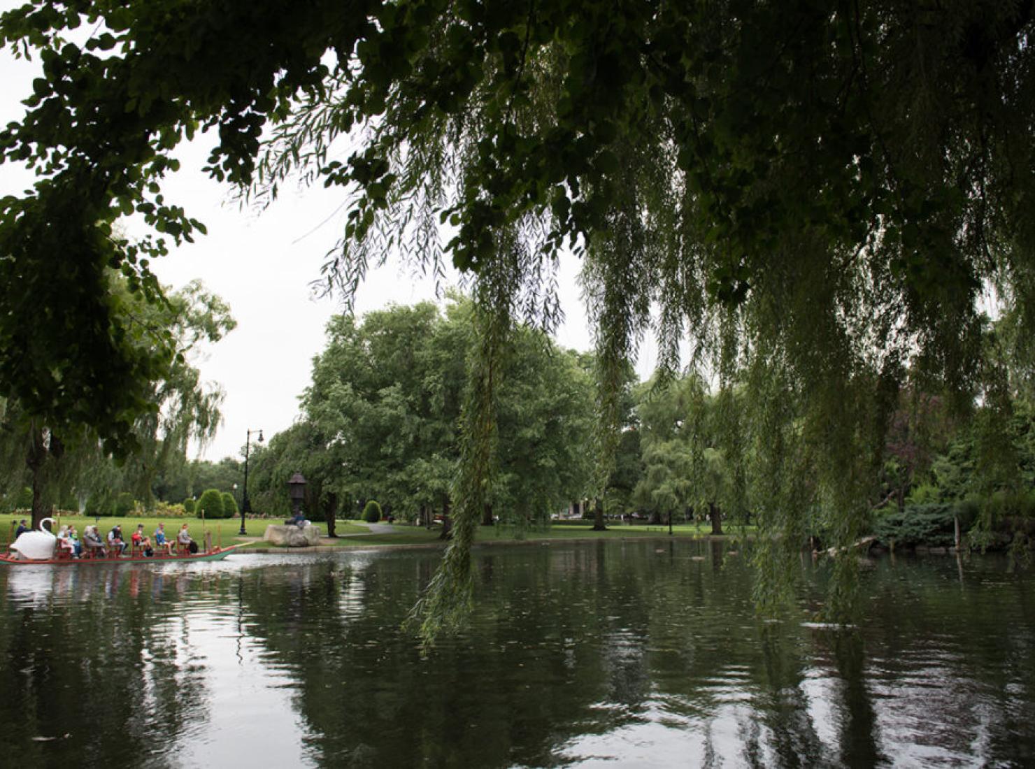 Emerson College, Undergraduate & Graduate Programs in Boston