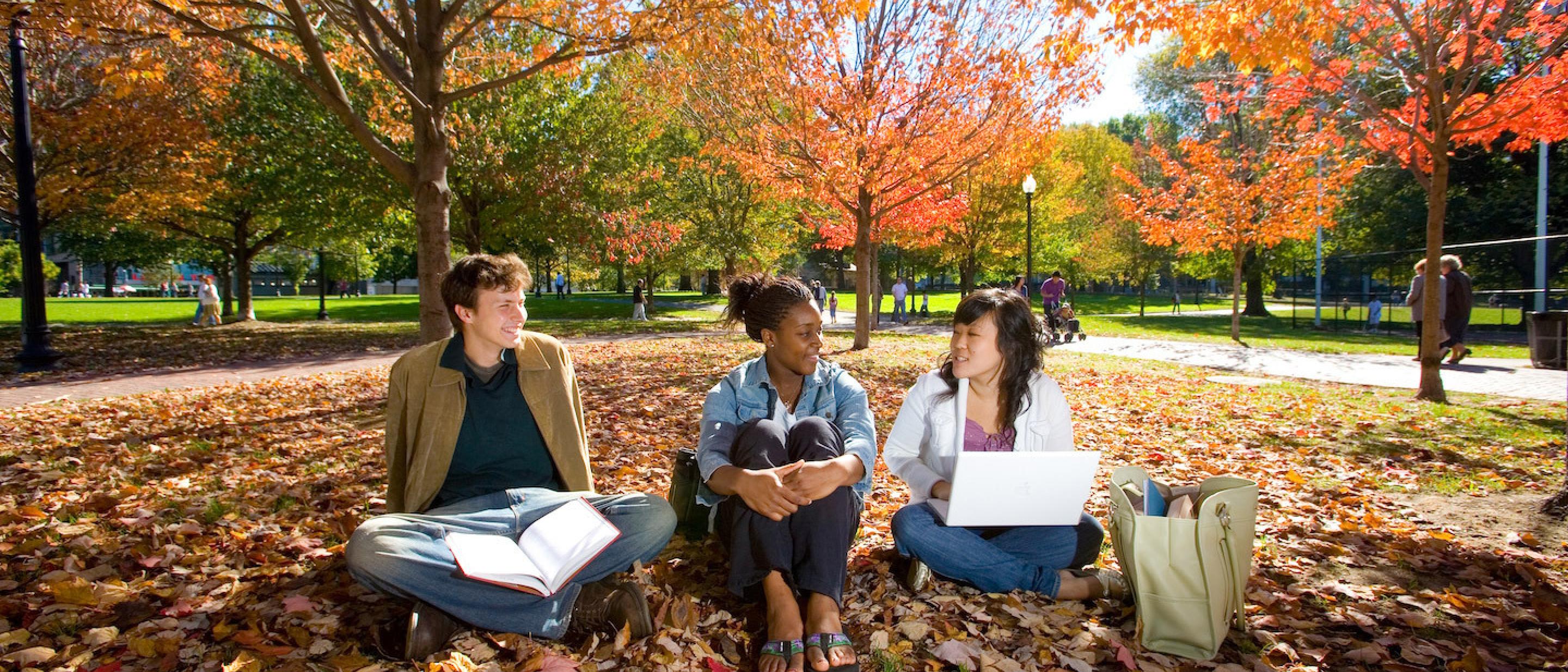 Admission, Communication Disorders MS, Emerson College