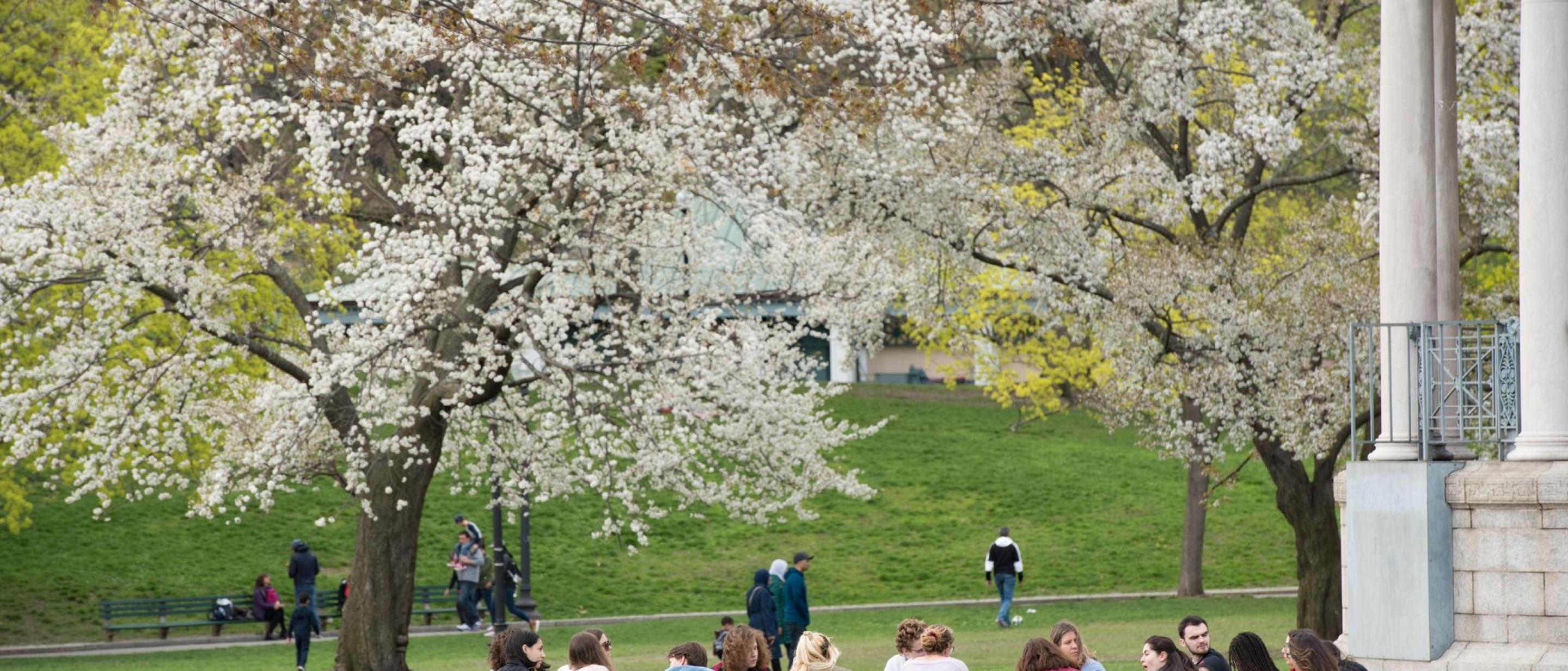 Advantage, Creative Writing MFA, Emerson College