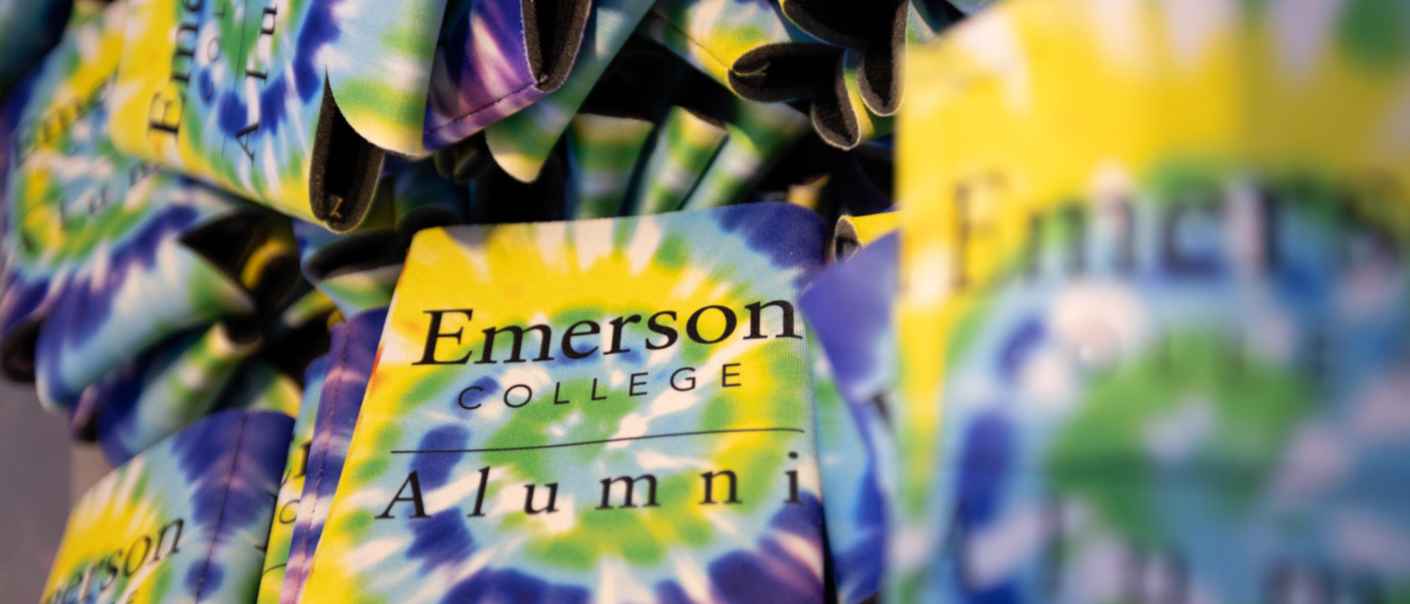 2024 Alumni Survey Results, Emerson College